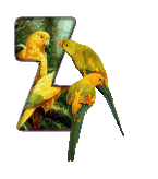 toutlalphabet2 - Page 1101