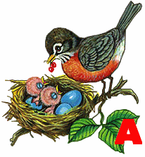 alphabets oiseaux - Page 7