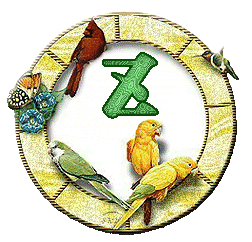 alphabets oiseaux - Page 34