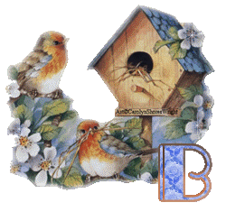 alphabets oiseaux - Page 35