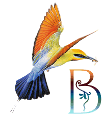 alphabets oiseaux - Page 34