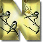 alphabets oiseaux - Page 10