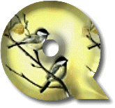 alphabets oiseaux - Page 10