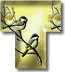 alphabets oiseaux - Page 10