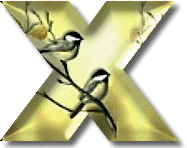 alphabets oiseaux - Page 10